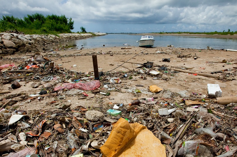 Lake Okeechobee Pollution - Lake Okeechobee Pollution